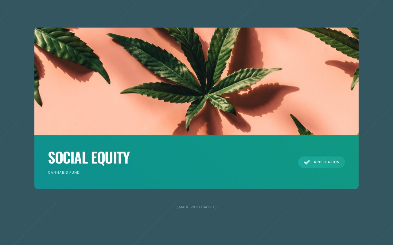 Social Equity IL Fund